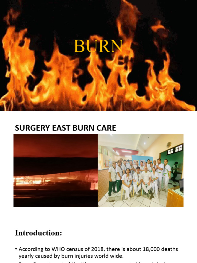 Burn Main | PDF | Burn | Scar