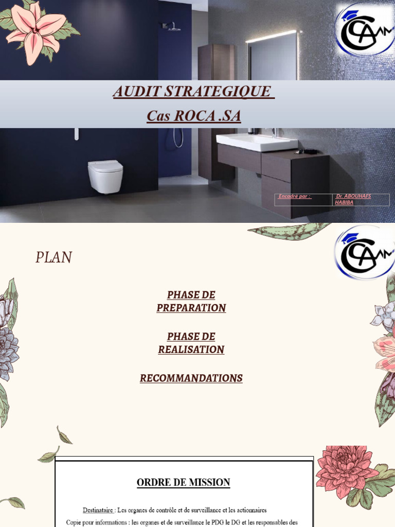 Aud Mark (1111111111111 | PDF | Maroc | Commercialisation