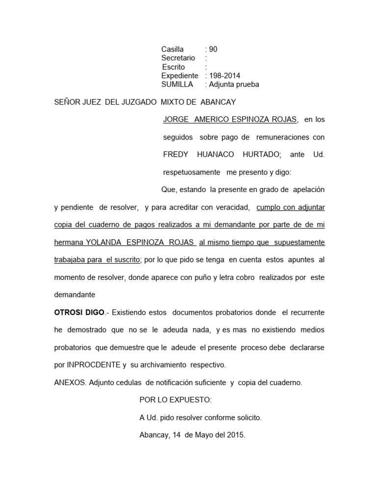 Adjunta Prueba | PDF | Mandato | Sentencia (ley)