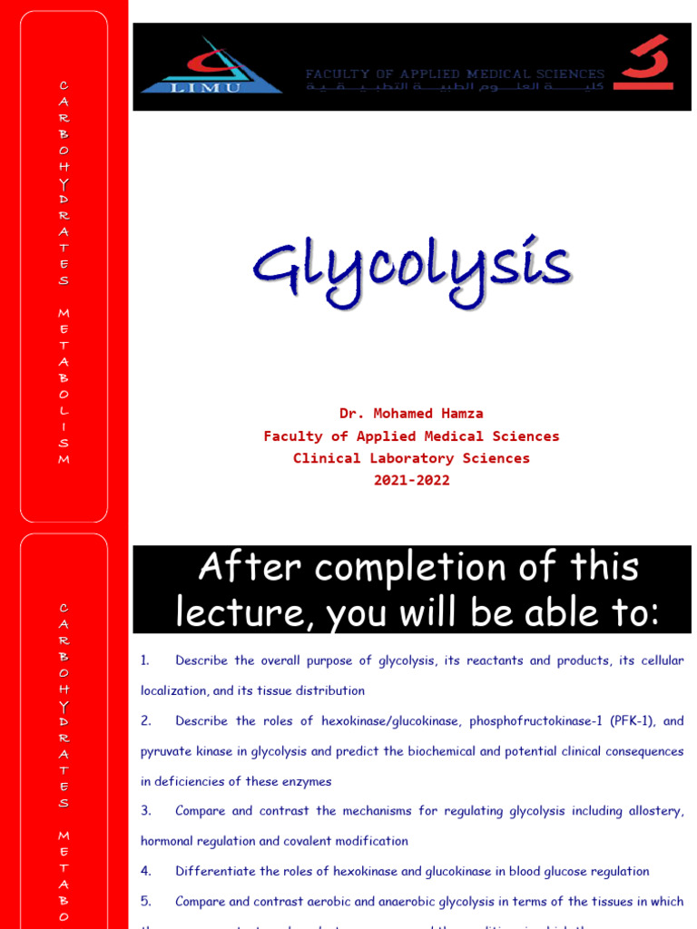Glycolysis Dr. Mohamed Hamza 2022 | PDF | Glycolysis | Phosphorylation