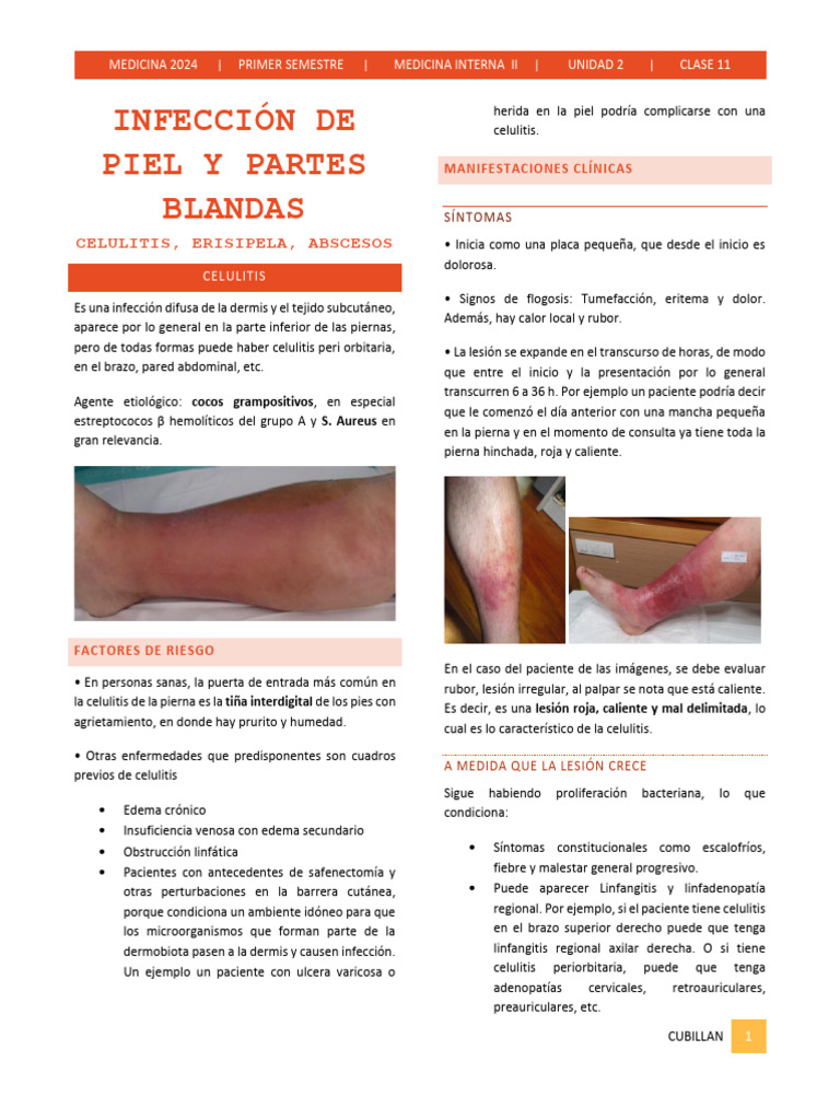 Infección de Piel y Partes Blandas - Clase 11 - MED INT II U2 ...