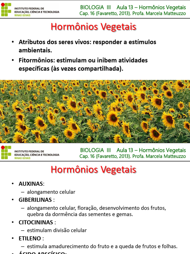 Aula 13 Hormônios Vegetais | PDF | Hormônio vegetal | Auxinas