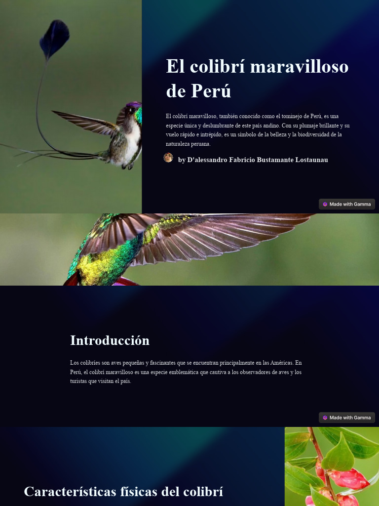 El Colibri Maravilloso de Peru | PDF | Destrucción del habitát ...