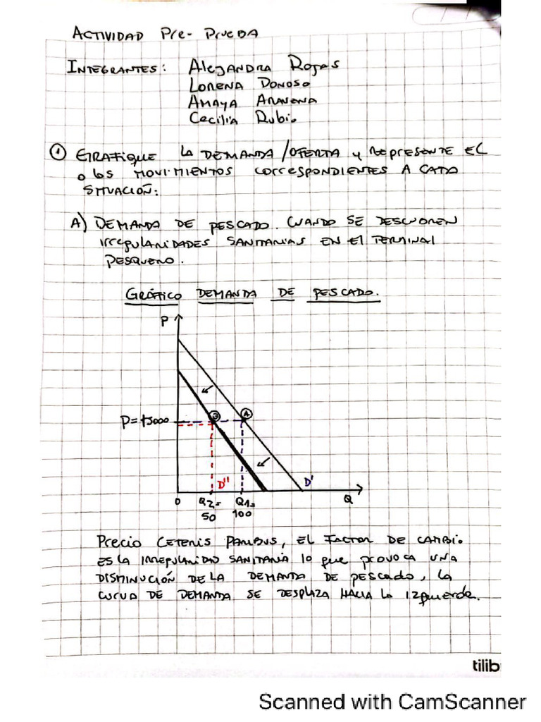 Trabajo Pre Prueba | PDF