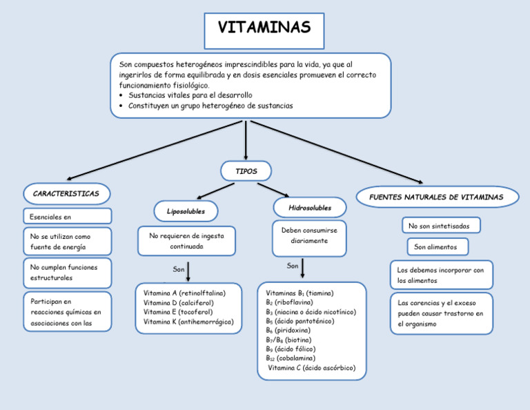 Mapa Conceptual Vitaminas | PDF | Vitamina | Compuestos orgánicos