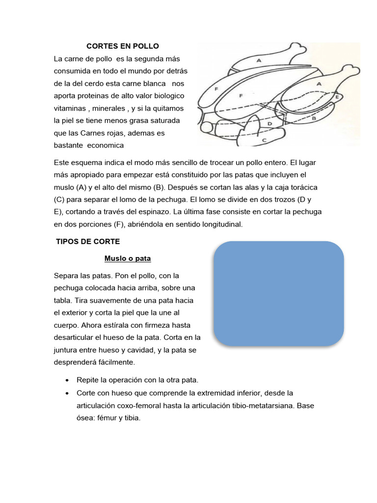 Tipos y cortes de pollo explicados | PDF | Hueso | Carne