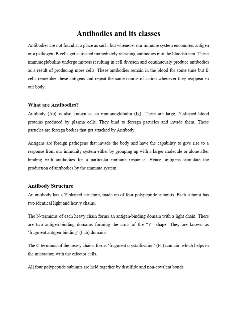 Antibodies and Its Classes | PDF | Antibody | Immunoglobulin G