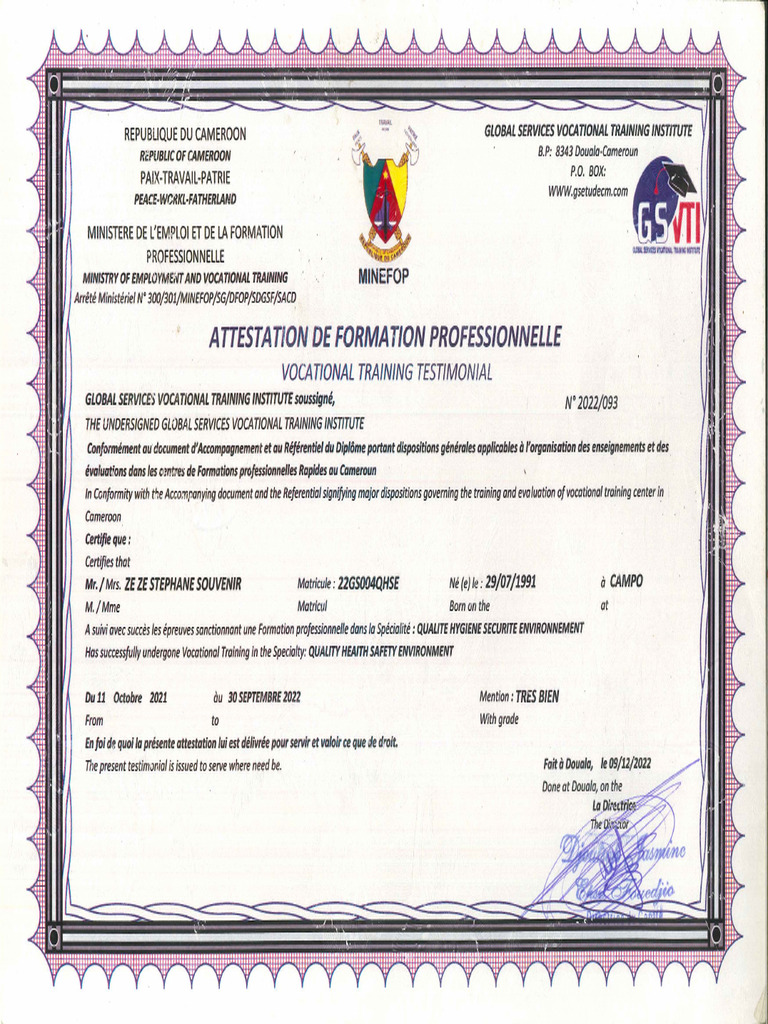 Attestation de Formation Professionnelle | PDF