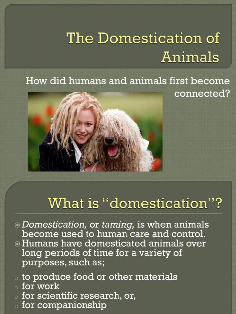 The Domestication of Animal | PDF