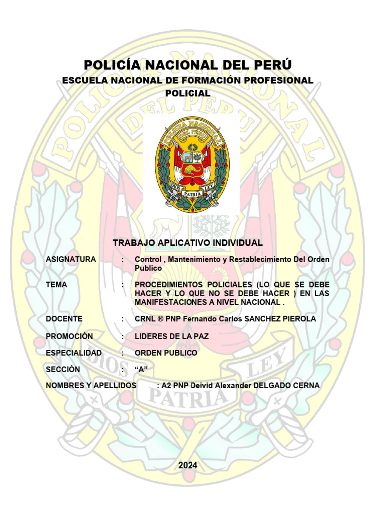 Procedimientos Policiales | PDF | Policía | Comportamiento