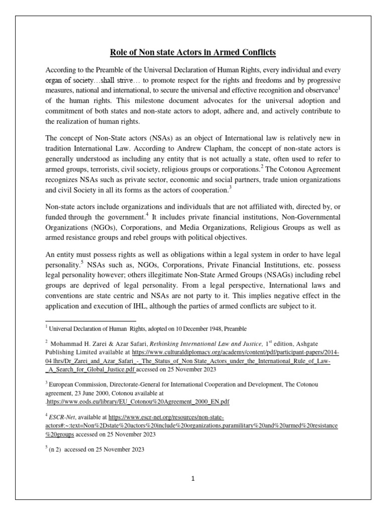 Non-State Actors in Armed Conflicts | PDF | International Humanitarian ...