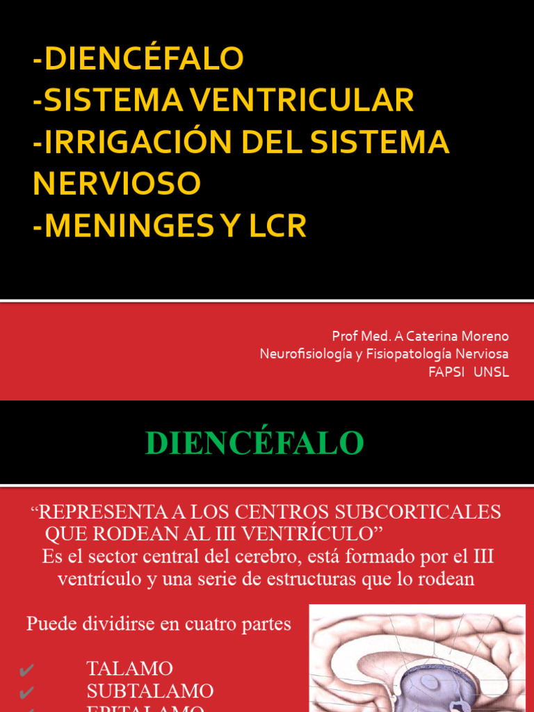 Dienc-Falo - LCR y Meninges | PDF | Hipotálamo | Fluido cerebroespinal