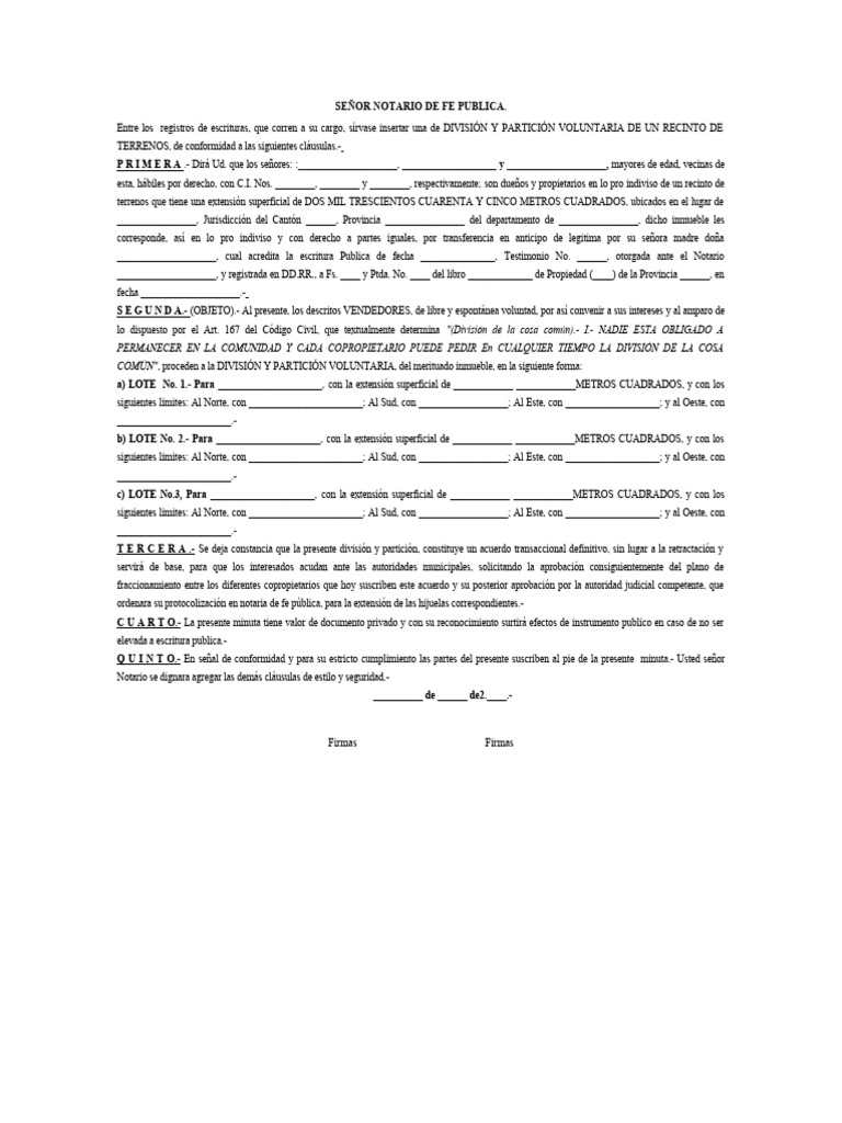 Modelo de División y Partición Voluntaria de Terrenos | PDF | Justicia ...