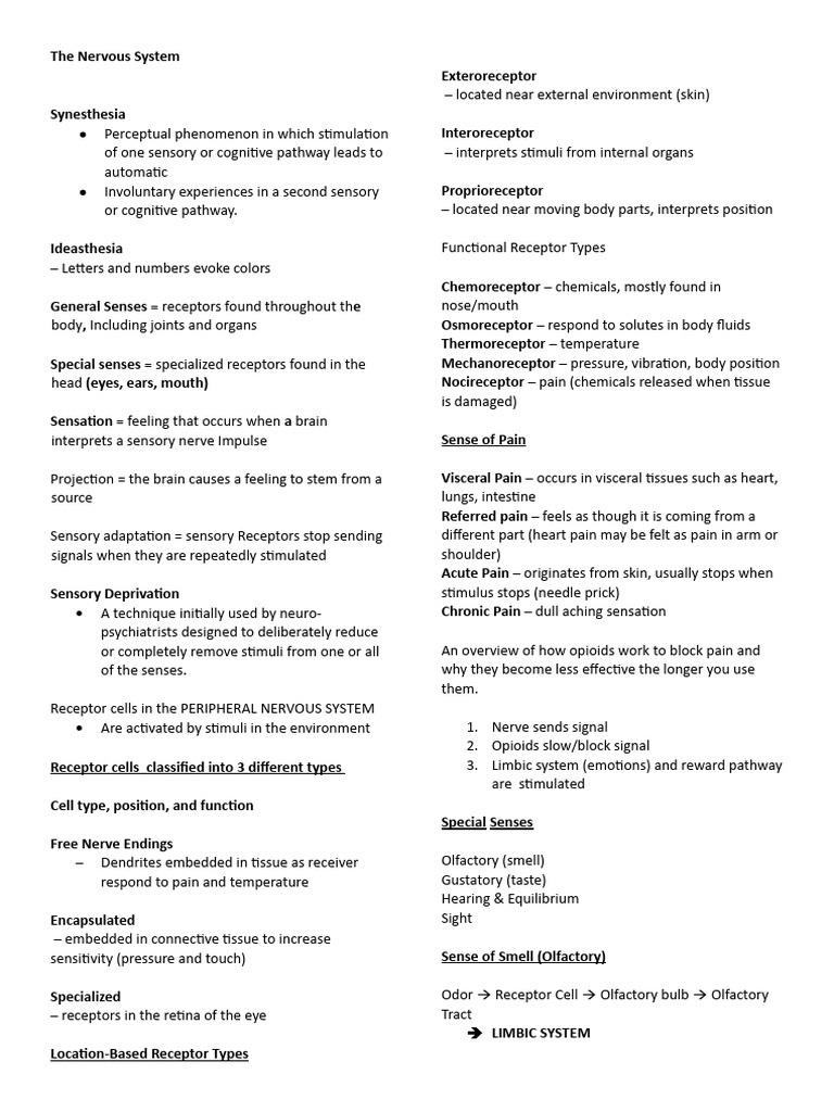 Nervous System Lecture Pdf Senses Ear