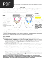 Teorías de Caries y Triada de Keyes | PDF | Las bacterias | Diente