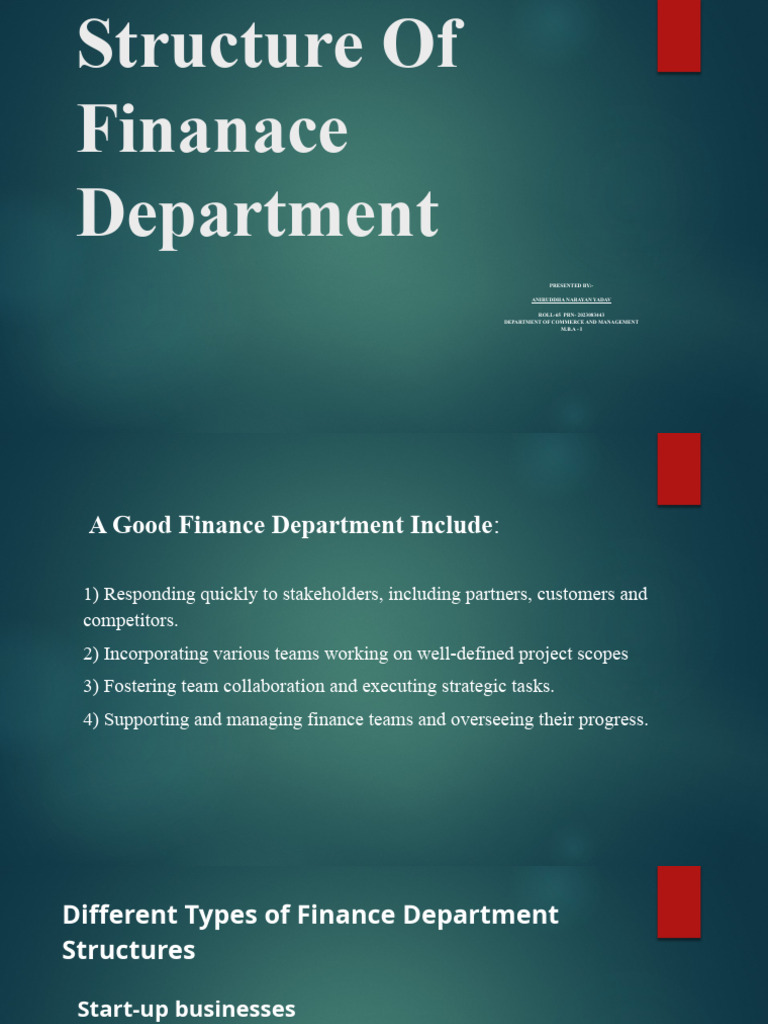 Structure of Finanace Department - 104935 | PDF | Chief Financial ...