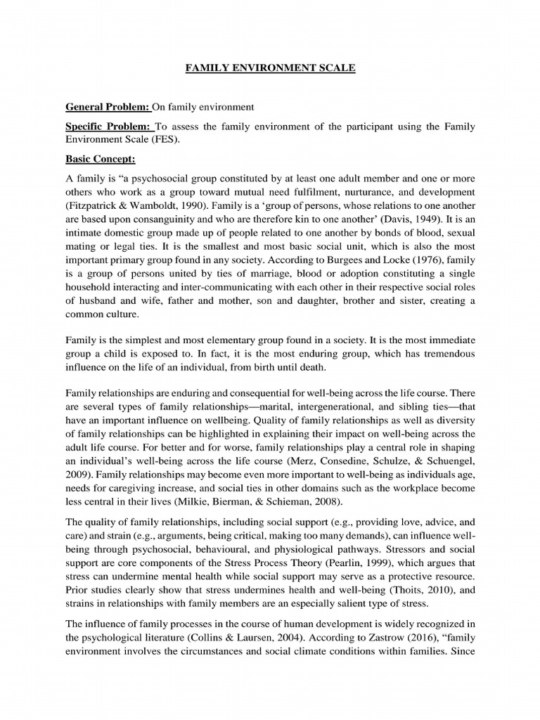 FES - Complete Write Up | PDF