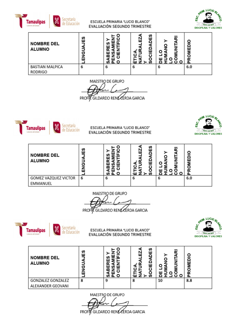 Boletas 2 Trimestre | PDF