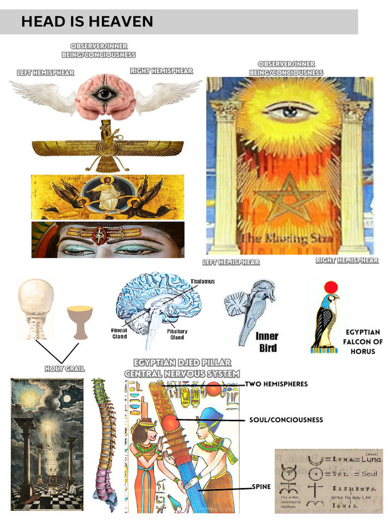 Consciousness and Duality Explained | PDF | Lateralization Of Brain ...