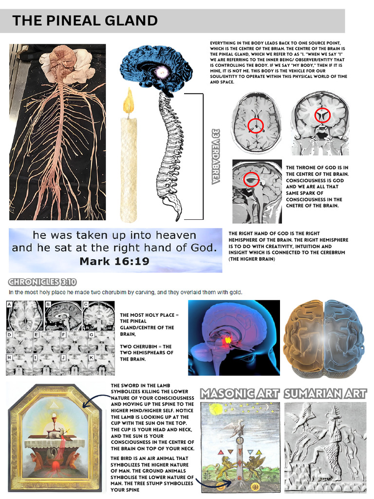 The Pineal Gland And Higher Consciousness Pdf Plane Esotericism