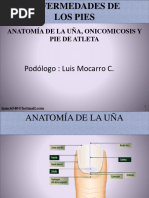 Onicofosis: Causas y Tratamiento | PDF