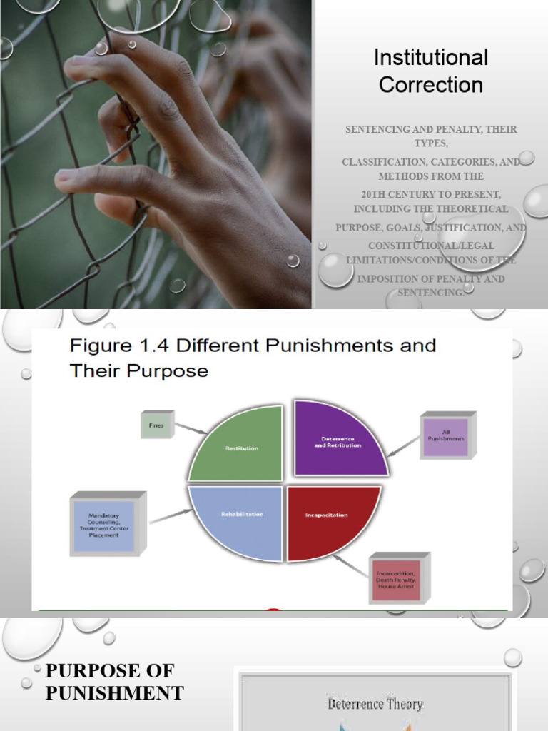 Overview of Sentencing and Penalties | PDF | Aiding And Abetting ...
