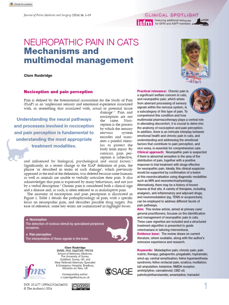 Mechanisms and Multimodal Management: Neuropathic Pain in Cats | PDF ...