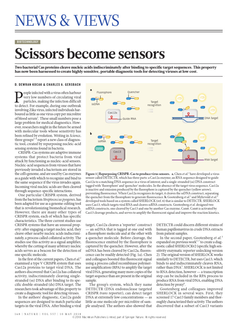 Scissors Become Sensors | PDF | Crispr | Virus