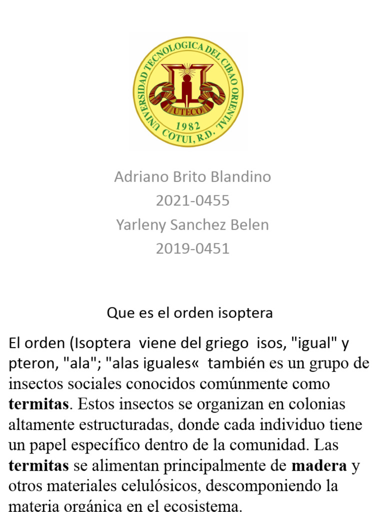 Características del orden Isoptera | PDF | Madera | Celulosa