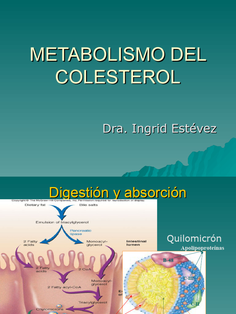 Colesterol 2023 | PDF | Bioquímica | Química