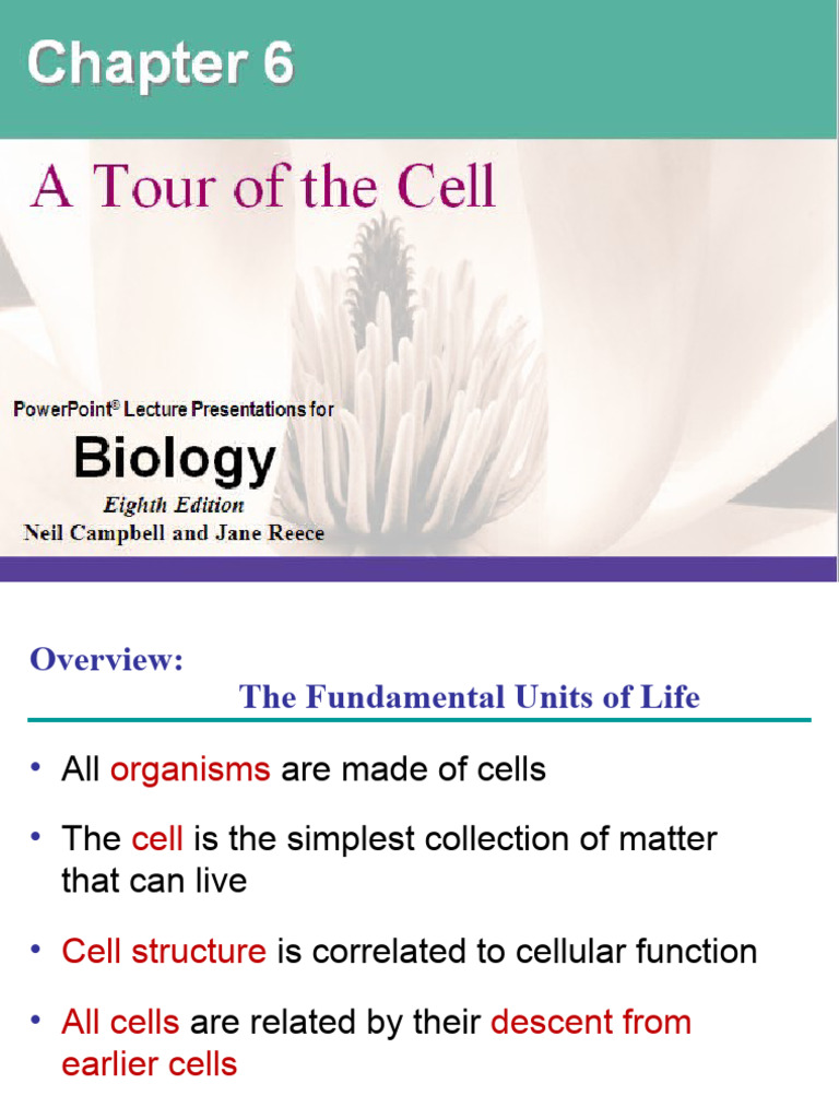 BA 03 - A Tour of The Cell | PDF | Cell (Biology) | Endoplasmic Reticulum