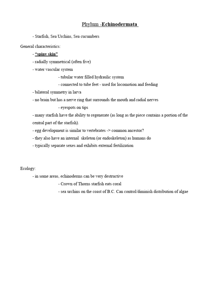 Echinodermata Notes | PDF | Science & Mathematics