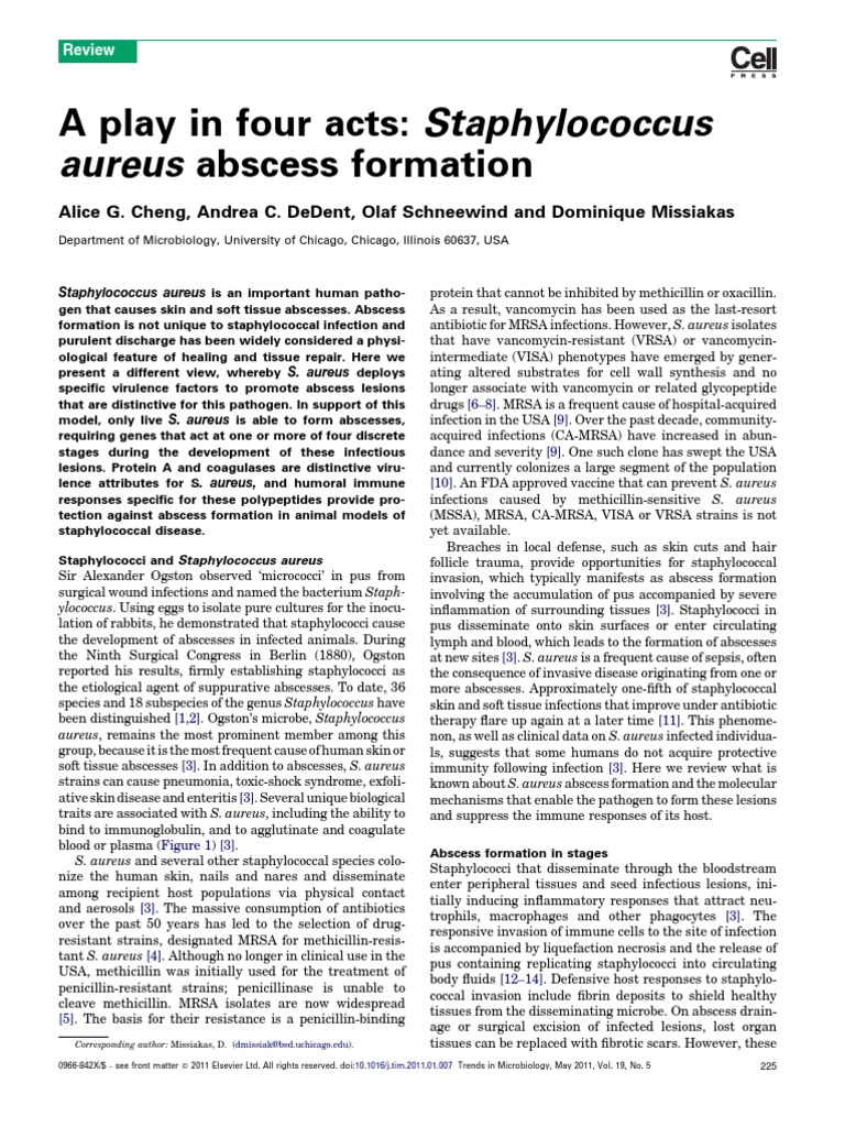 (2011) - Staph Aureus Abscess Formation | PDF | Staphylococcus Aureus ...