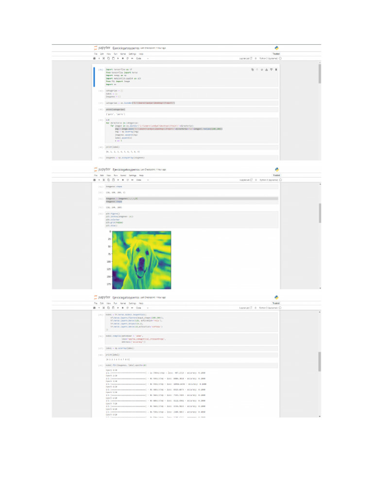 Clase9 (Actividad 1) | PDF