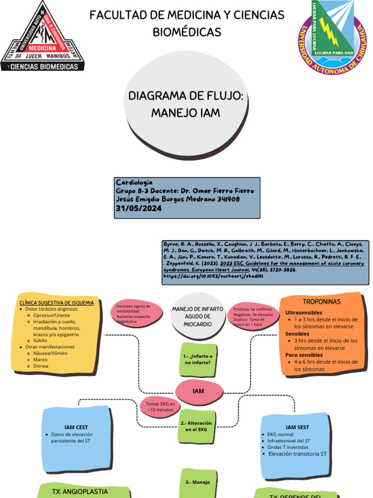 Diagrama de Flujo. Manejo de IAM | Descargar gratis PDF | Infarto de miocardio | Sistema ...
