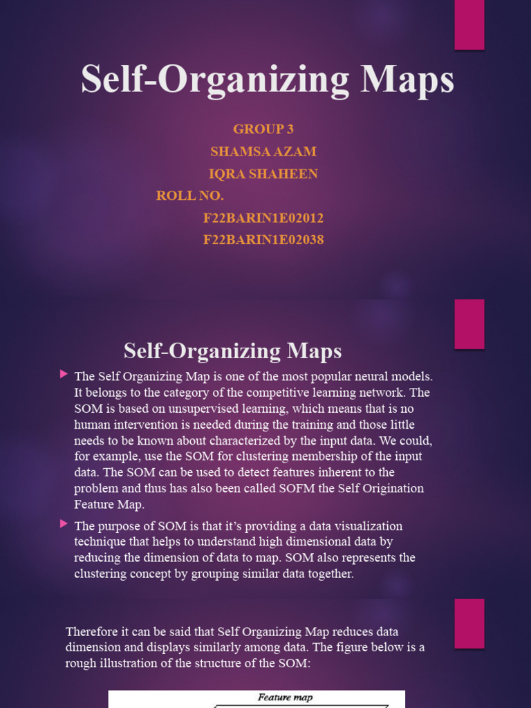 Self Organizing Maps | PDF | Computational Science | Learning