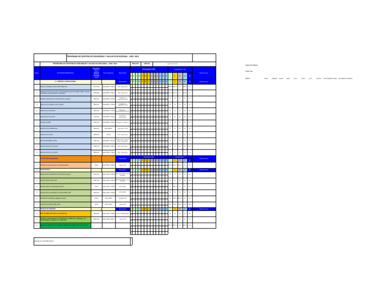 REG-557 - PROGRAMA DE GESTION SSO - JF | PDF
