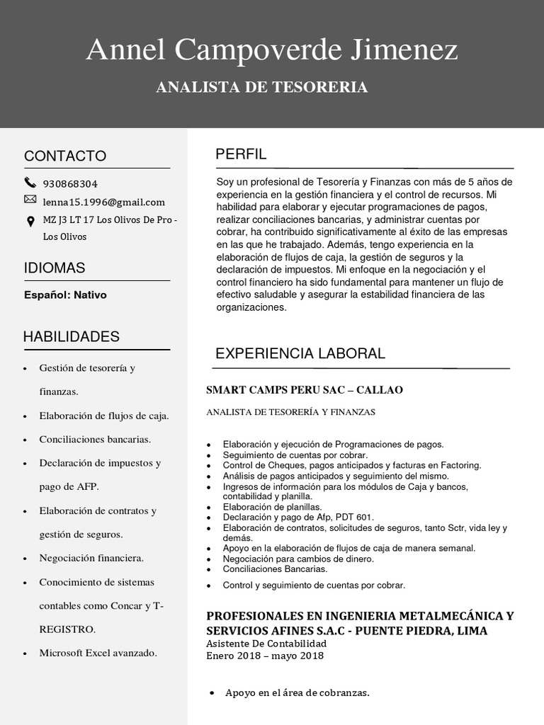 233 Curriculum Vitae Profesional para Trabajo | PDF | Bancos | Economias