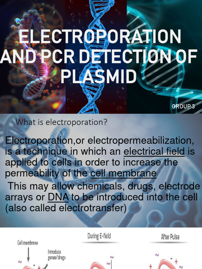 Electroporation and PCR Detection of Plasmid | PDF | Plasmid ...