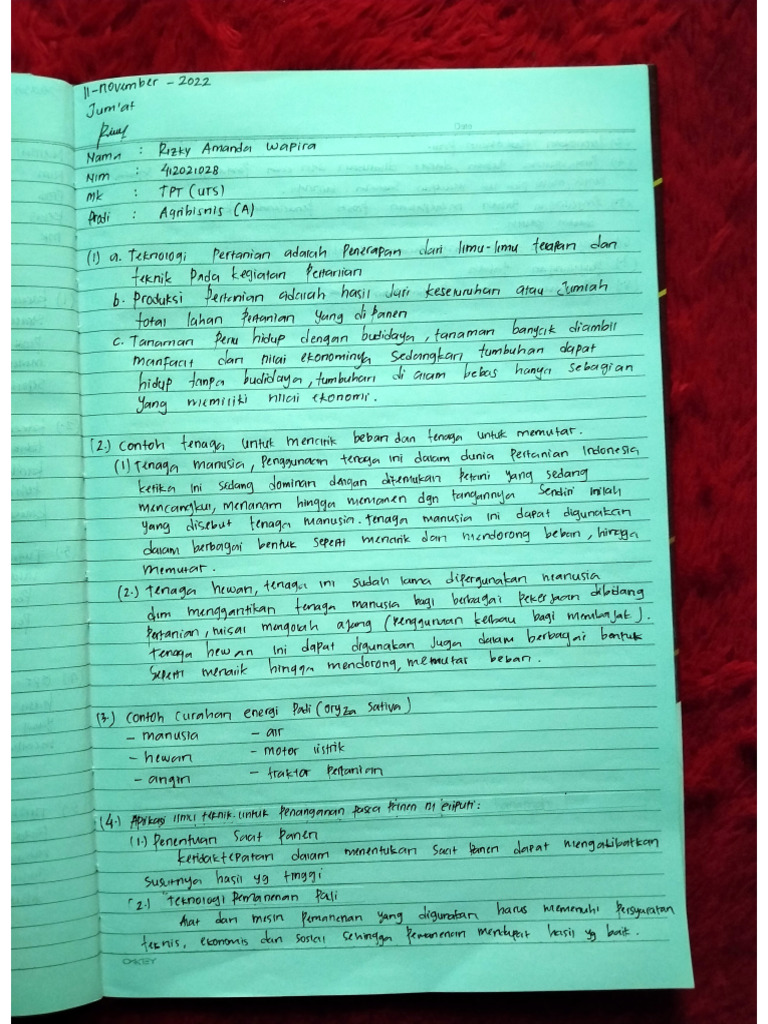 TPT | PDF