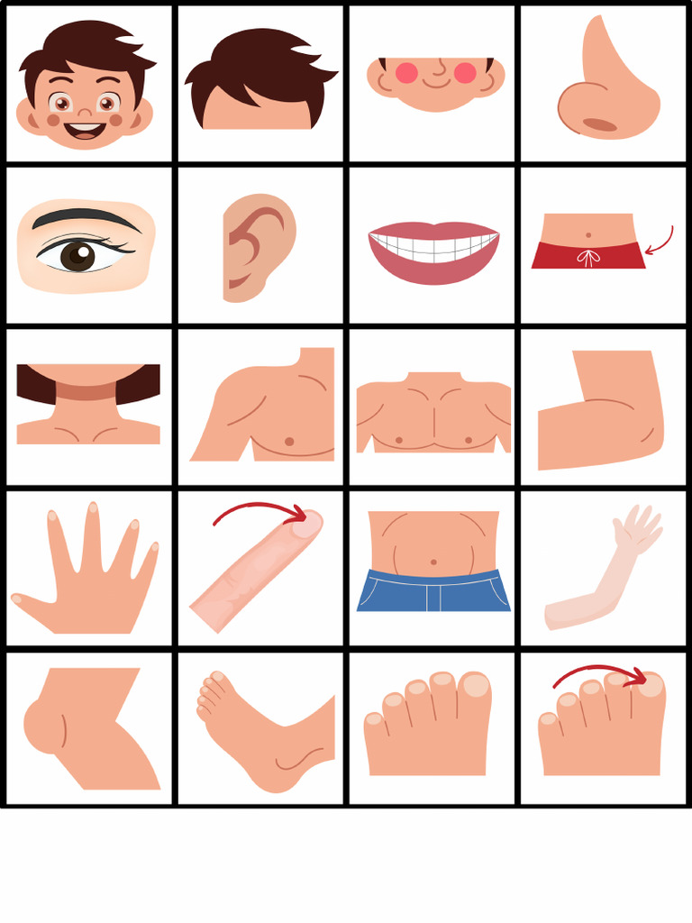 Memory Game Body Parts | PDF