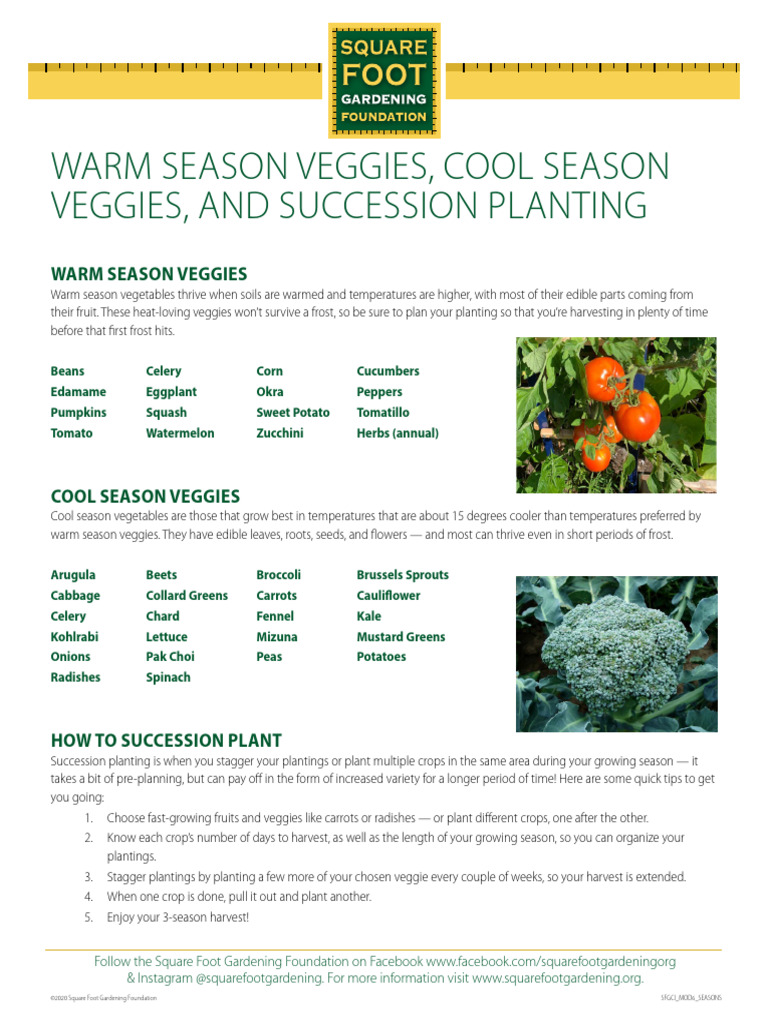 Module 6 - SFG Cool & Warm Season Veggies Handout | Download Free PDF ...