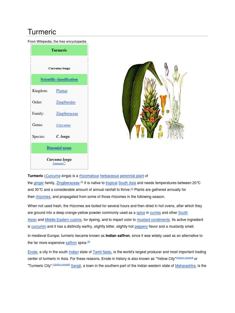 Turmeric | PDF | Turmeric | Medical Specialties