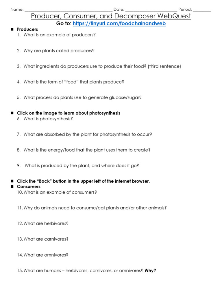 Producer, Consumer, Decomposer WebQuest | PDF | Foods | Organisms