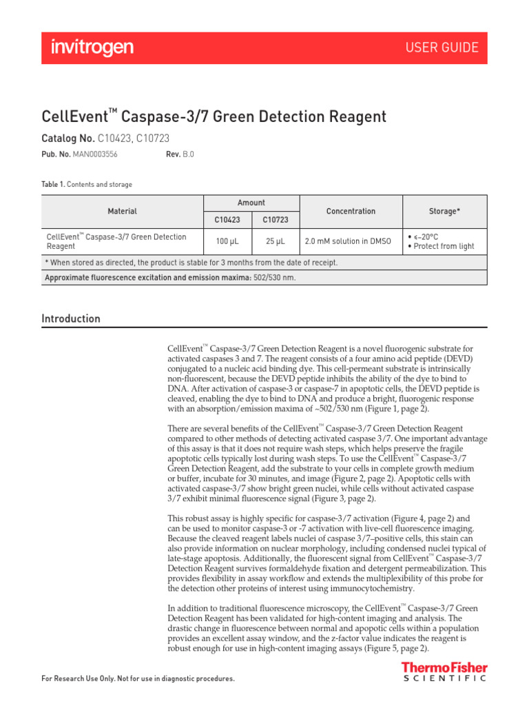 Cas Assay Pdf Caspase 3 Apoptosis