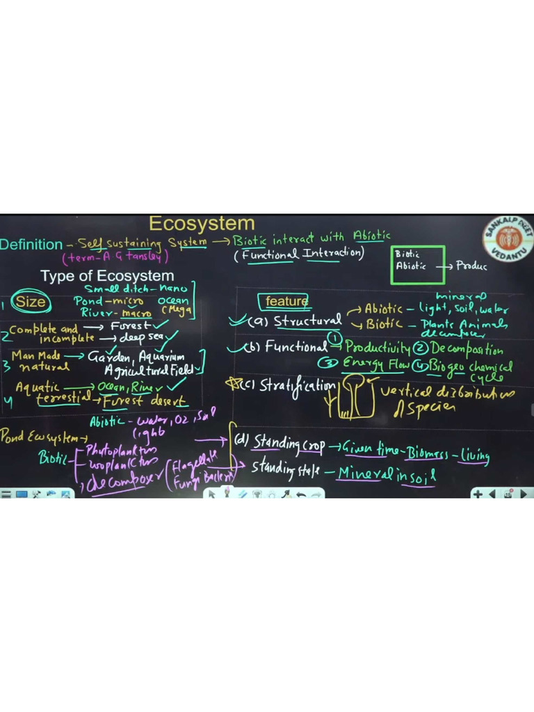 Ecosystem One Shot Notes | PDF