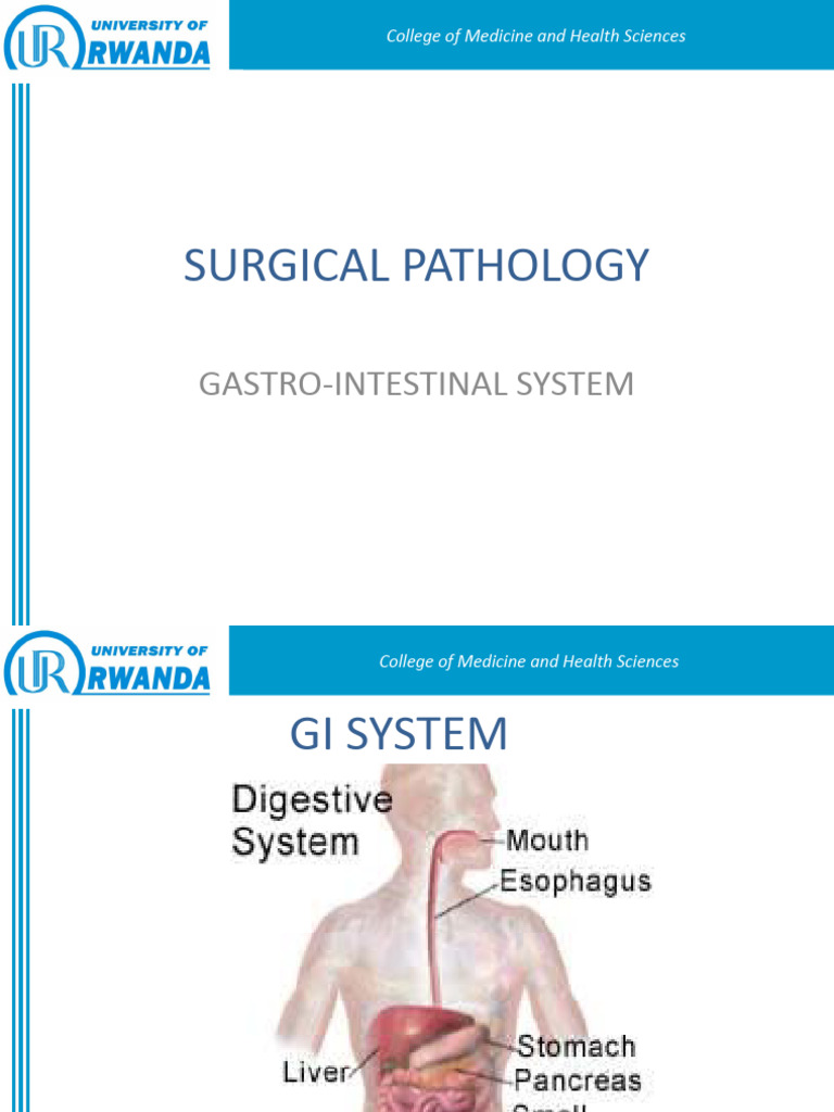 Gi Surgical Conditions | PDF | Hemorrhoid | Inflammatory Bowel Disease