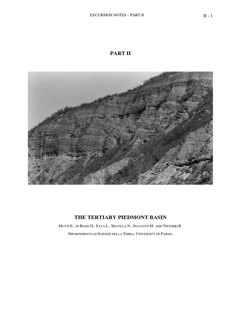 Part II BTP | PDF | Sedimentary Rock | Stratigraphy