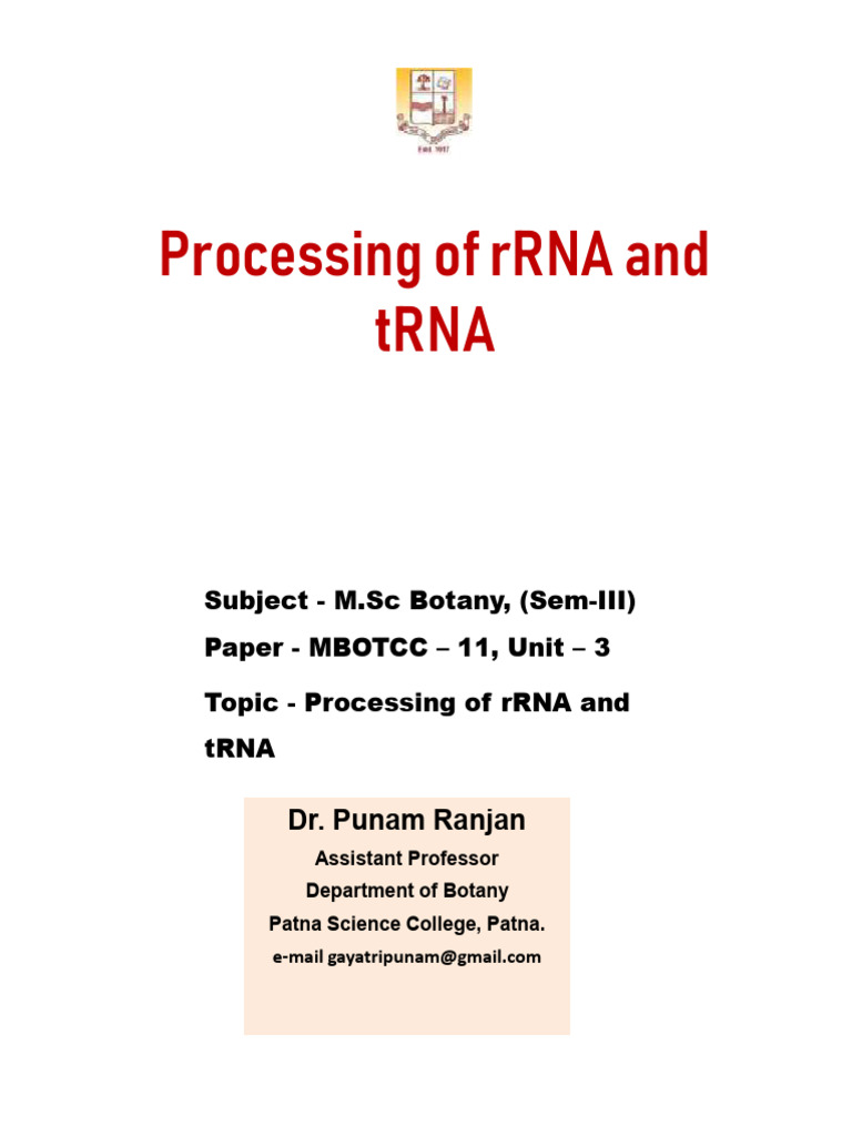 MSC Bot 50 | PDF | Ribosomal Rna | Rna