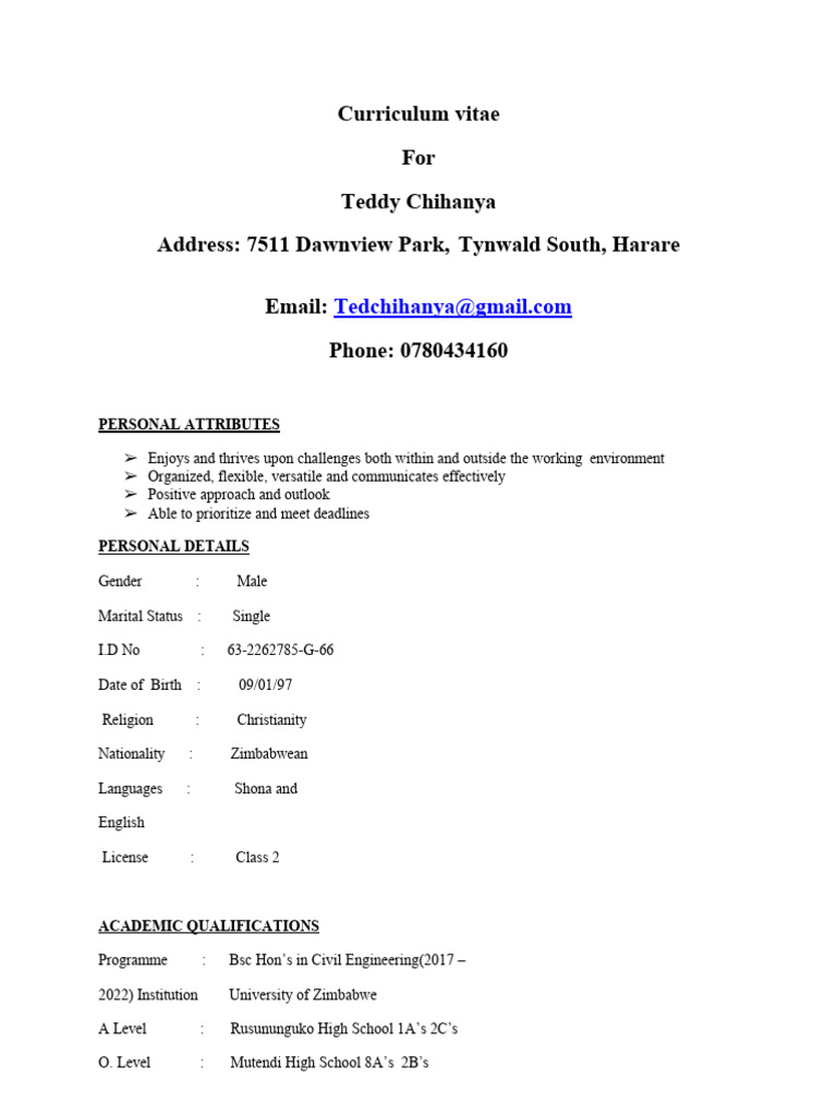 Teddy Chihanya CV | PDF | Civil Engineering | Engineering